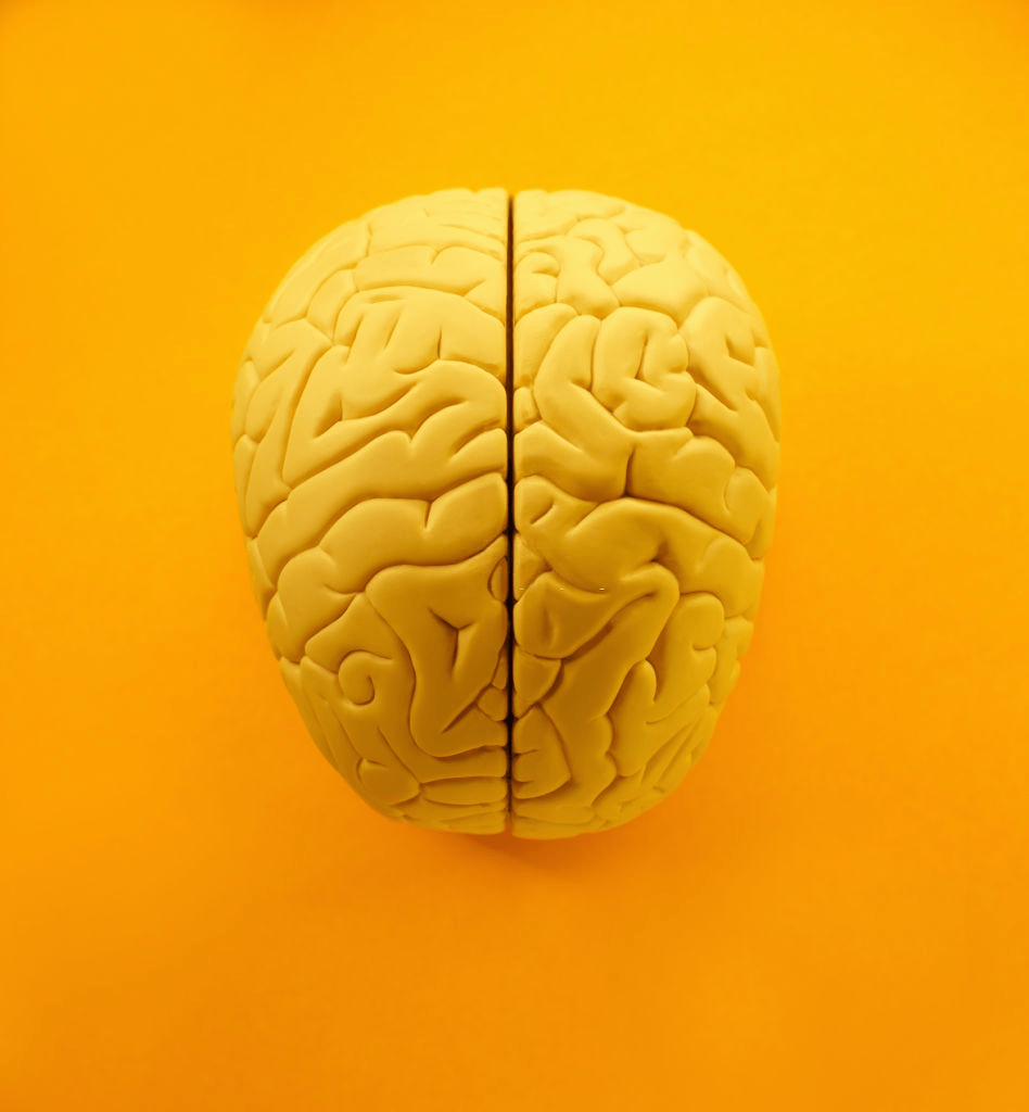 20 Memory-Improving Simple Exercises to be done Regularly!